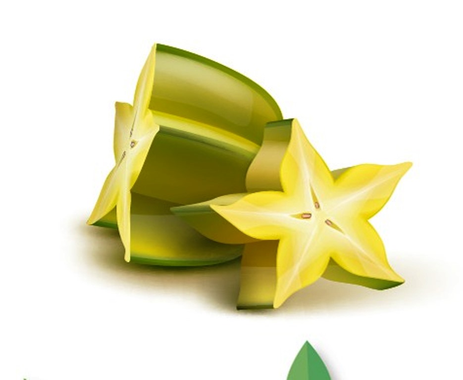 Estudios acerca de la fruta china, en un libro manabita – REVISTA DE MANABÍ