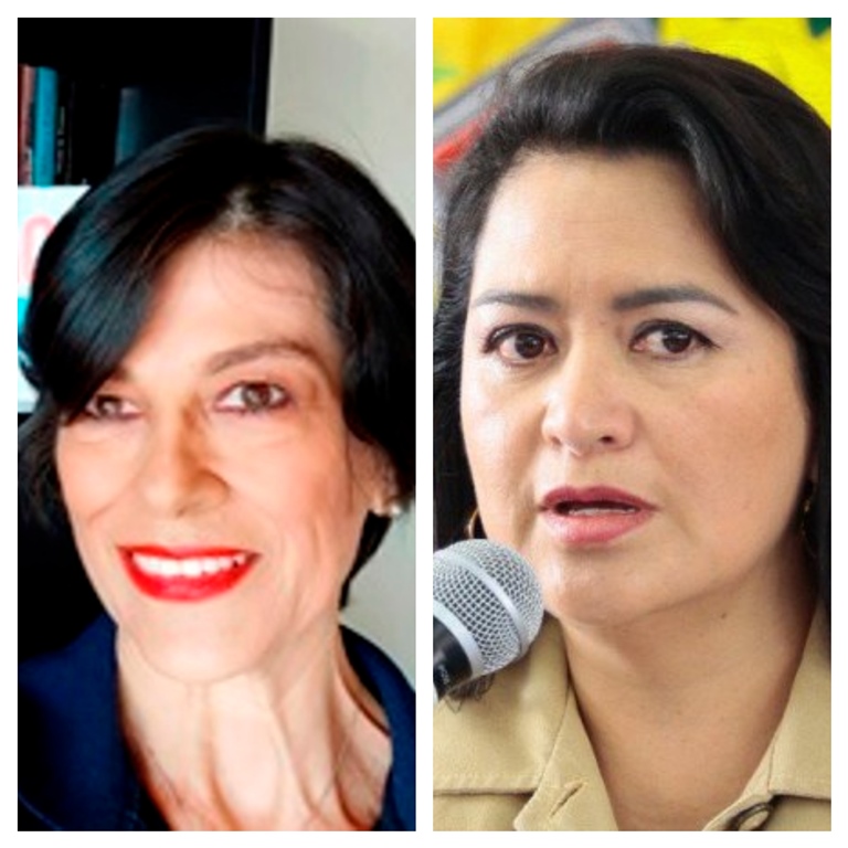 Impulso a la “justicia especializada” contra la violencia familiar ...