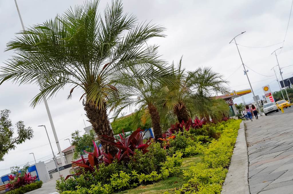 El paseo turístico de Manta impregnado de naturaleza – REVISTA DE MANABÍ