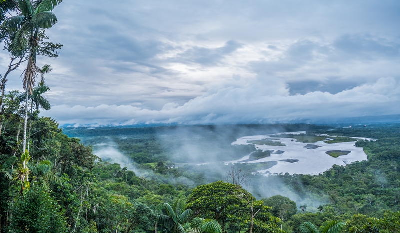 El proyecto de Biocorredor Amazónico diseñado por el Gobierno ...